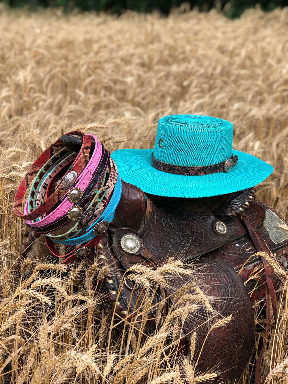 Hat Bands - Just Plain Crazy
