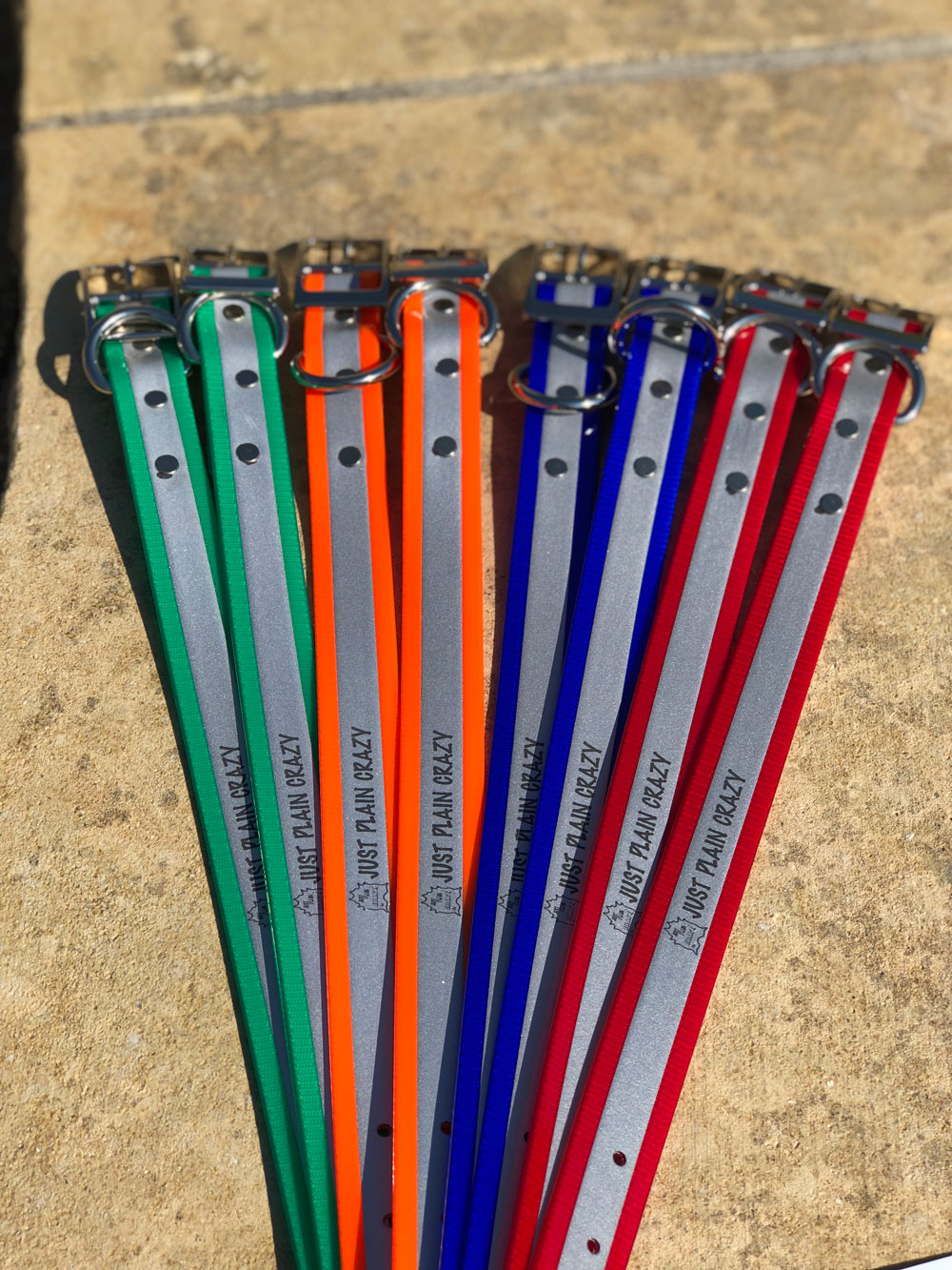 Reflective Dog Collars - Just Plain Crazy